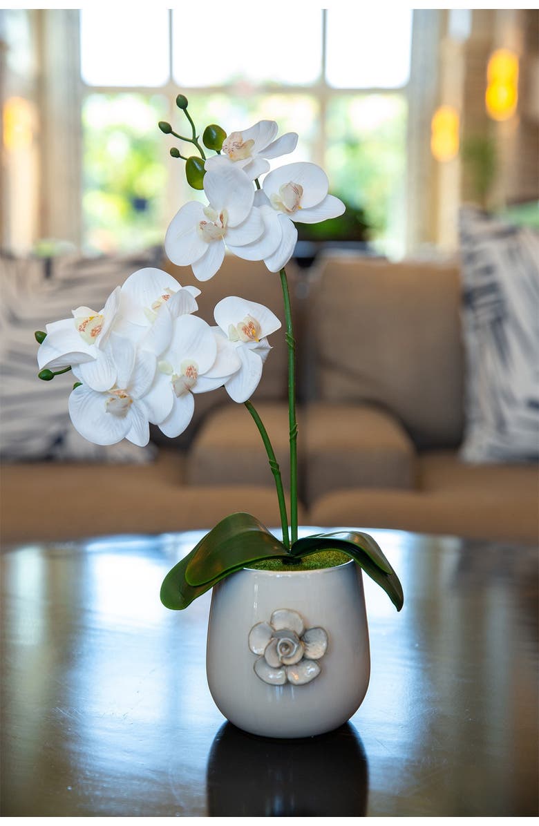FLORA BUNDA 15" Real-Touch Orchid in Ceramic Vase | Nordstromrack