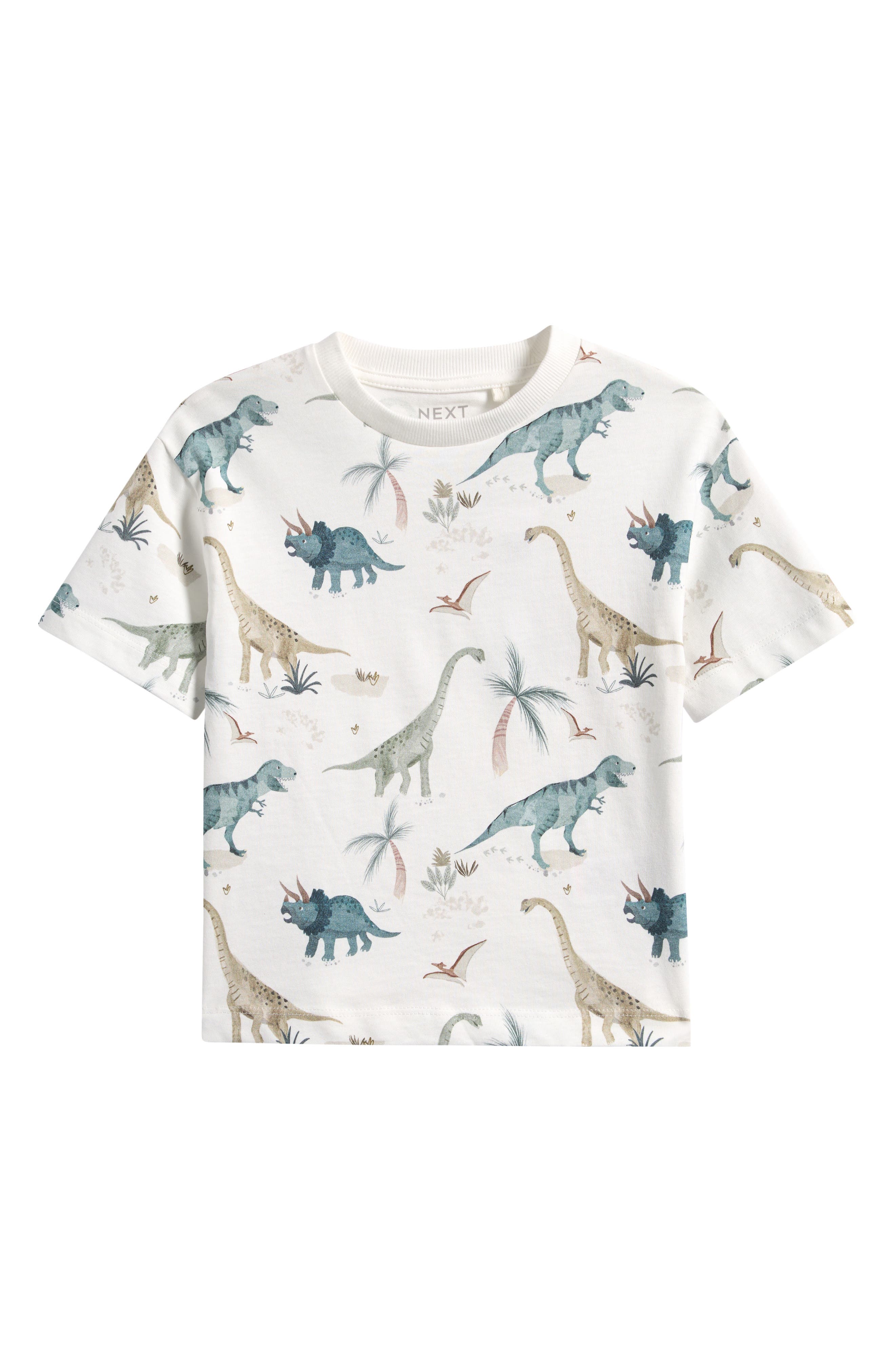 Kids' Dinosaur Print Graphic T-Shirt (Men) | Nordstrom