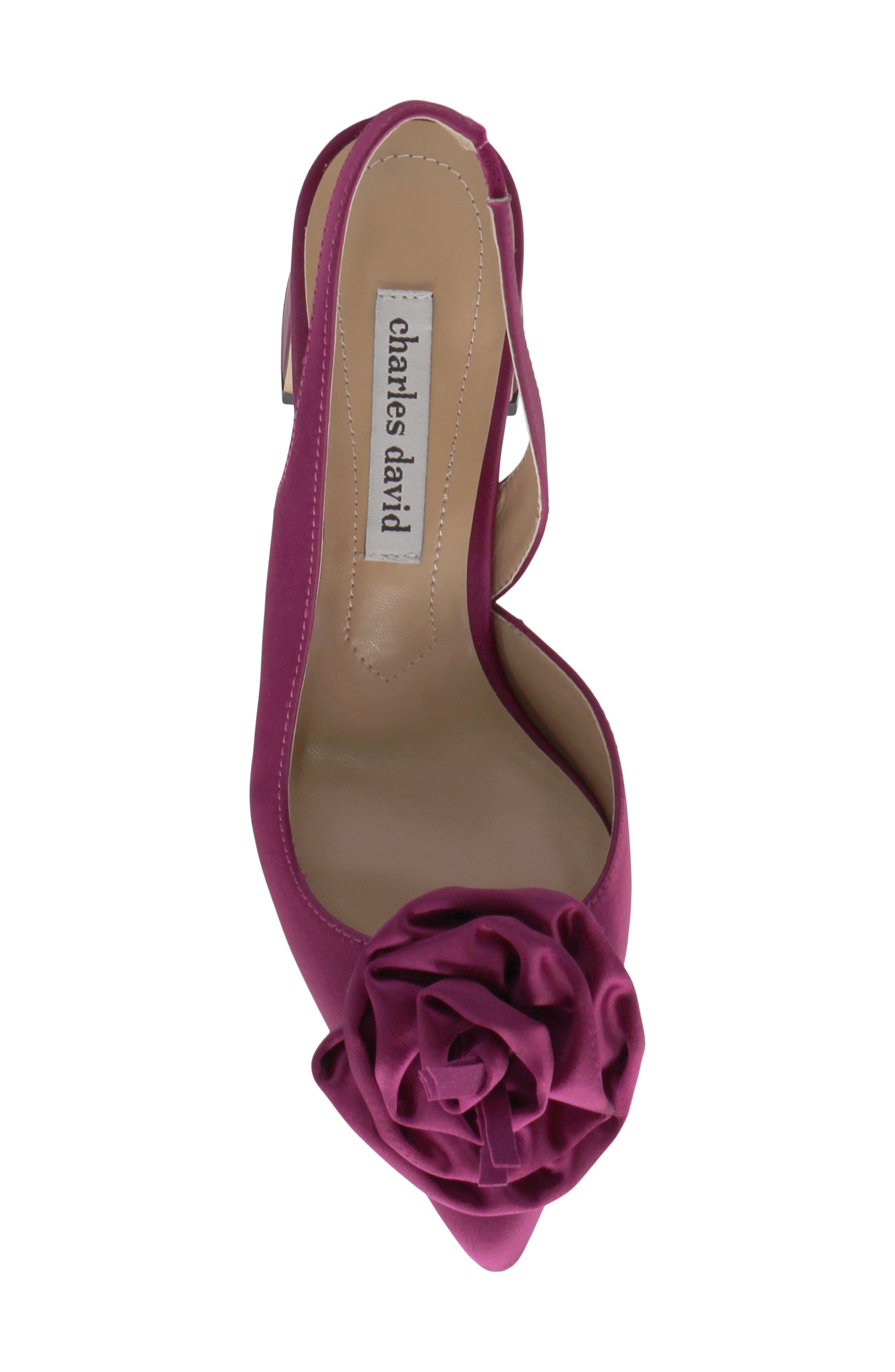 Charles David Althea Pointed Toe Slingback Pump (Women) | Nordstromrack