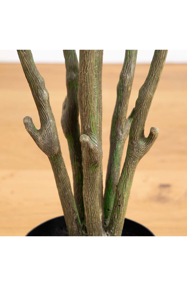 NEARLY NATURAL 6-Foot Autumn Oyama Magnolia Artificial Tree | Nordstromrack