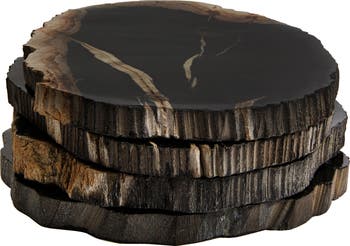 Soho Home Balfern Set of 4 Petrified Wood Coasters | Nordstrom