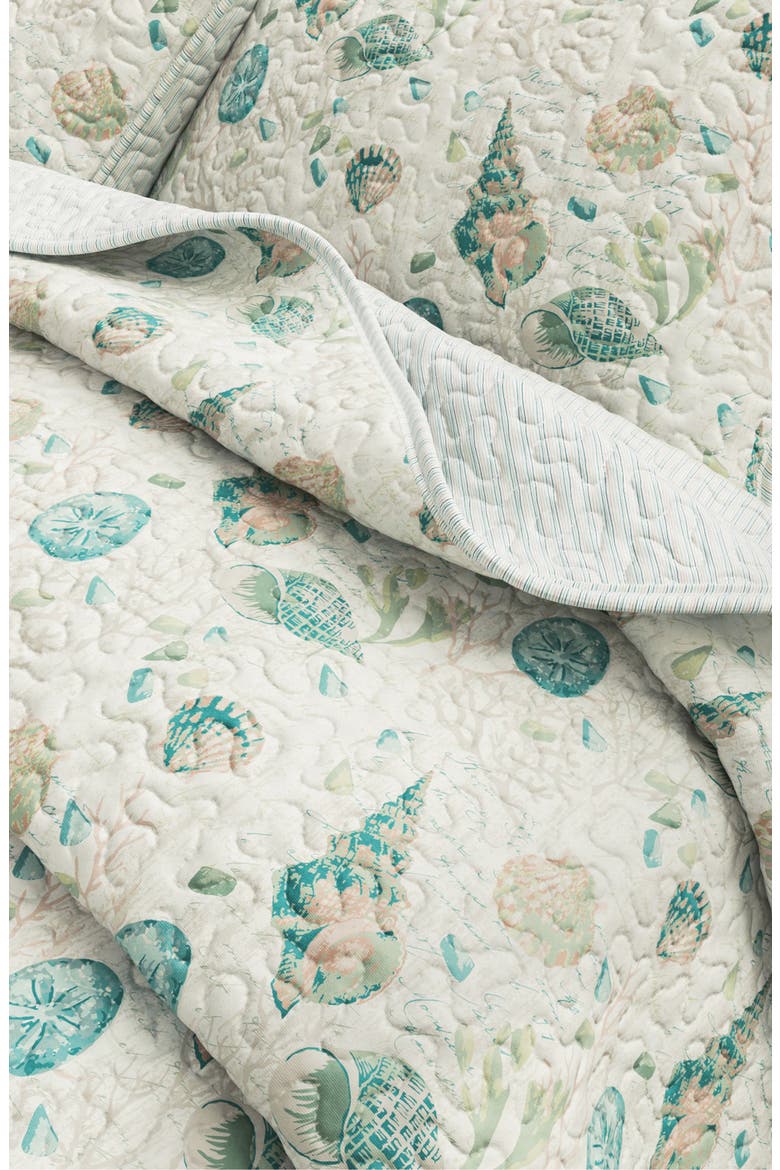 Coastal Seashell Quilt & Sham Set | Nordstromrack