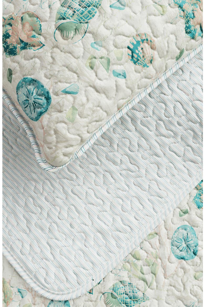 Coastal Seashell Quilt & Sham Set | Nordstromrack