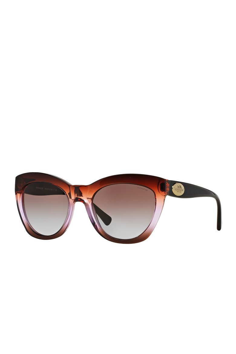 54mm Cat Eye Core Sunglasses (Women) | Nordstromrack