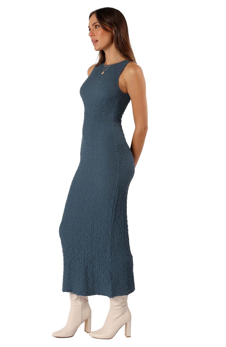 Petal & Pup Clark Texture Sleeveless Maxi Dress | Nordstromrack