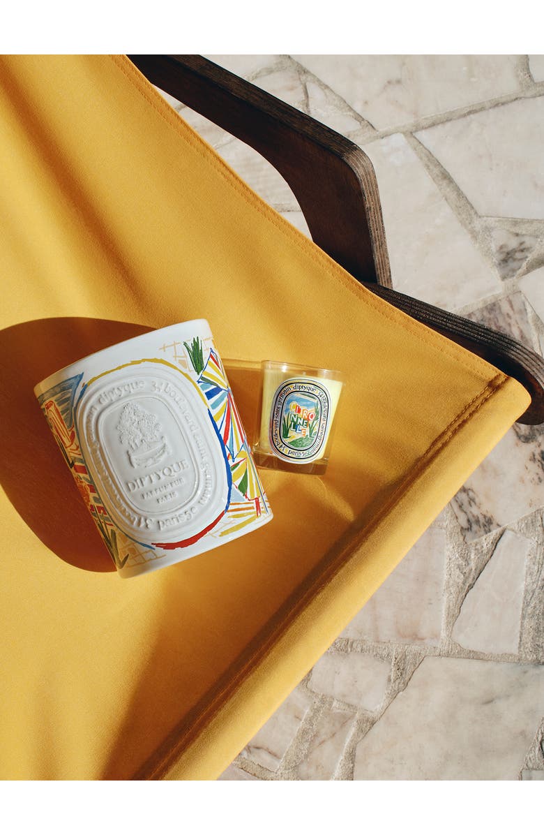 Diptyque Citronnelle Lemongrass & Orange Blossom Scented Candle | Nordstrom