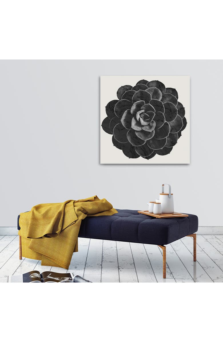 CURIOOS Black Marble Succulent Canvas Wall Art | Nordstromrack