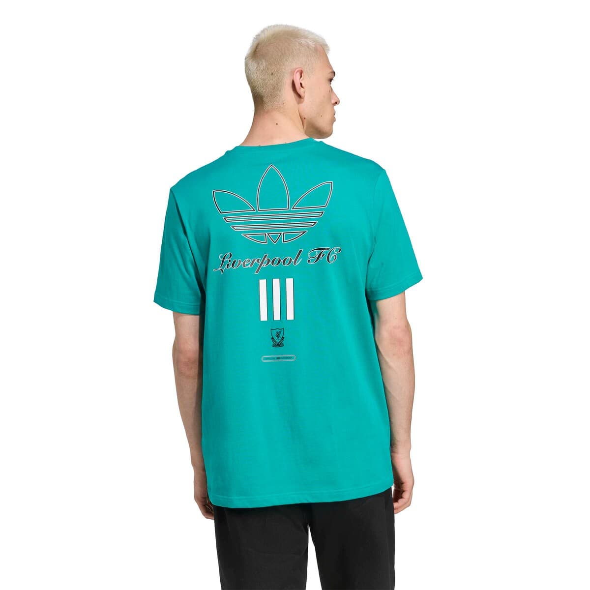 adidas Men's adidas Green Liverpool Terrace Icons Collection Graphic T ...