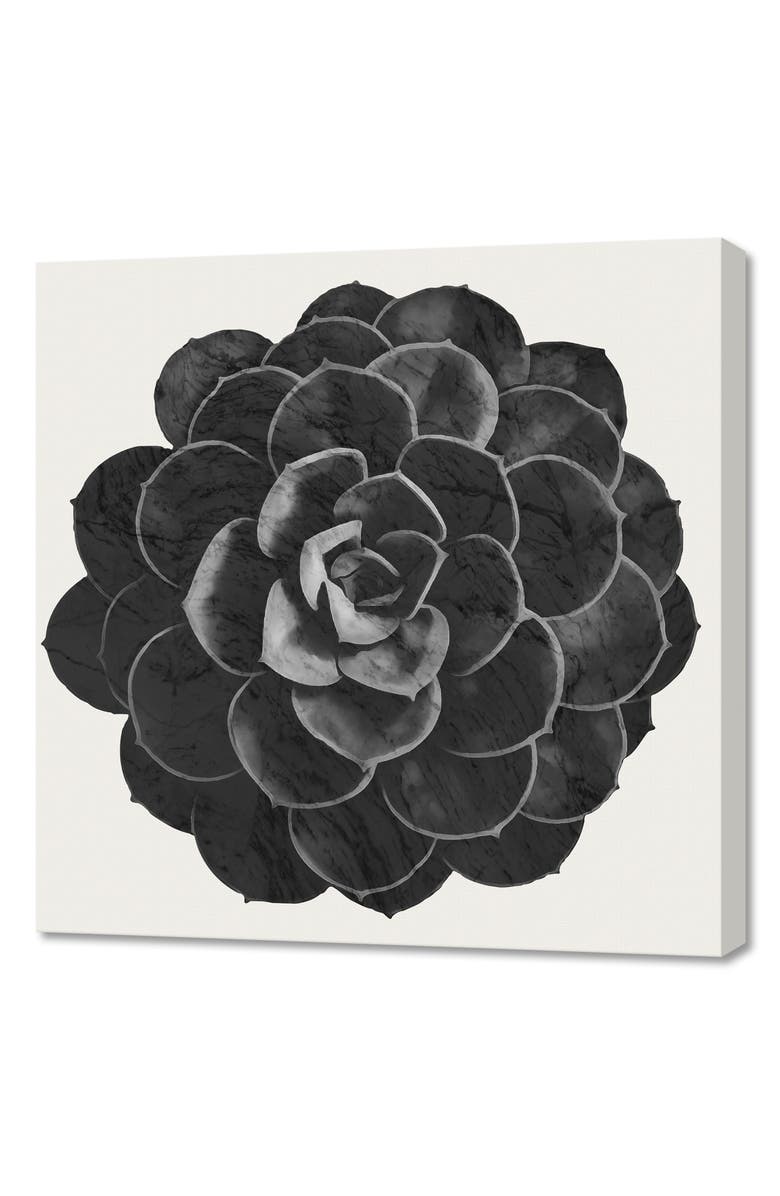 CURIOOS Black Marble Succulent Canvas Wall Art | Nordstromrack