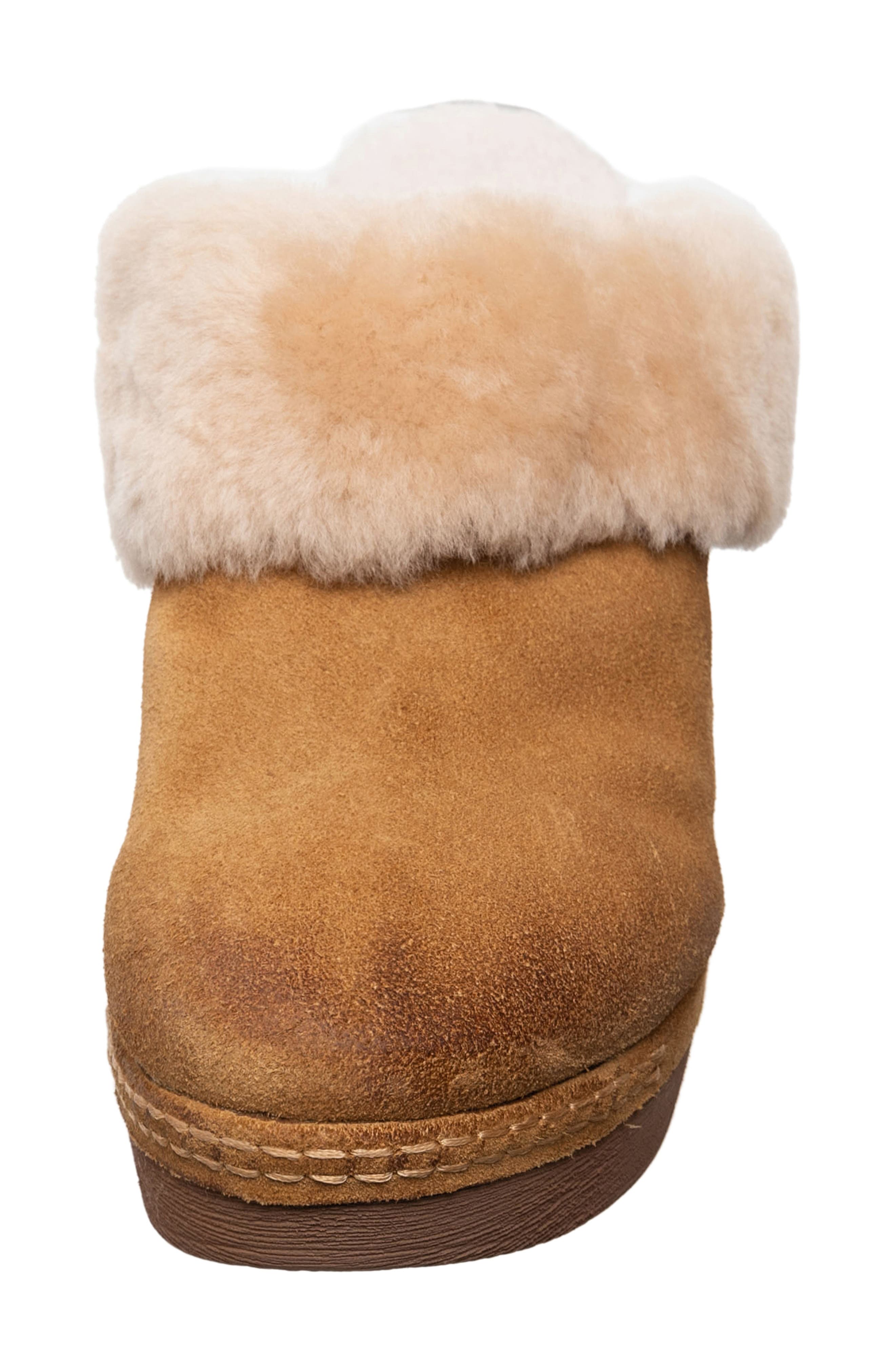 ANTELOPE Sera Faux Fur Lined Clog (Women) | Nordstromrack