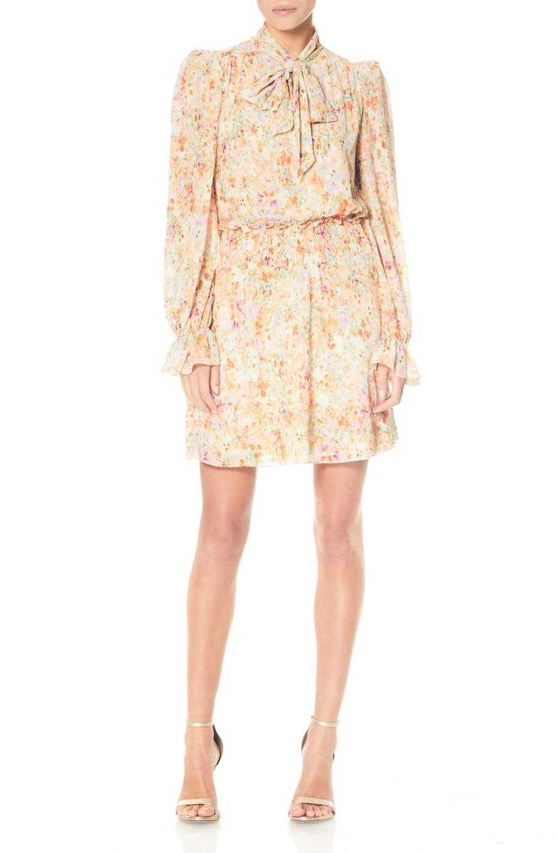 ML Monique Lhuillier Floral Long Sleeve Tie Neck Chiffon Minidress ...