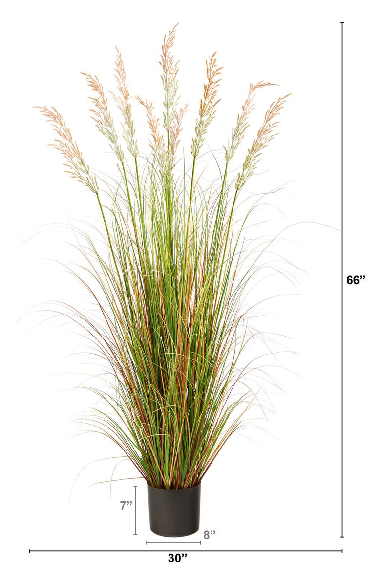 NEARLY NATURAL 5.5' Plum Grass Artificial Plant | Nordstromrack