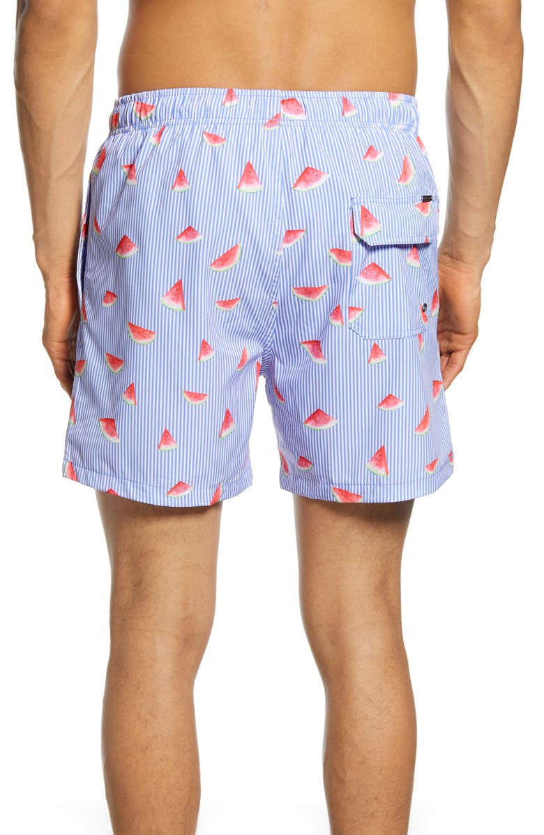 Vintage Summer Watermelon Swim Trunks | Nordstrom