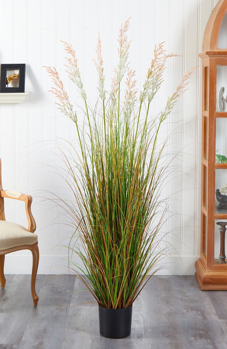 NEARLY NATURAL 5.5' Plum Grass Artificial Plant | Nordstromrack