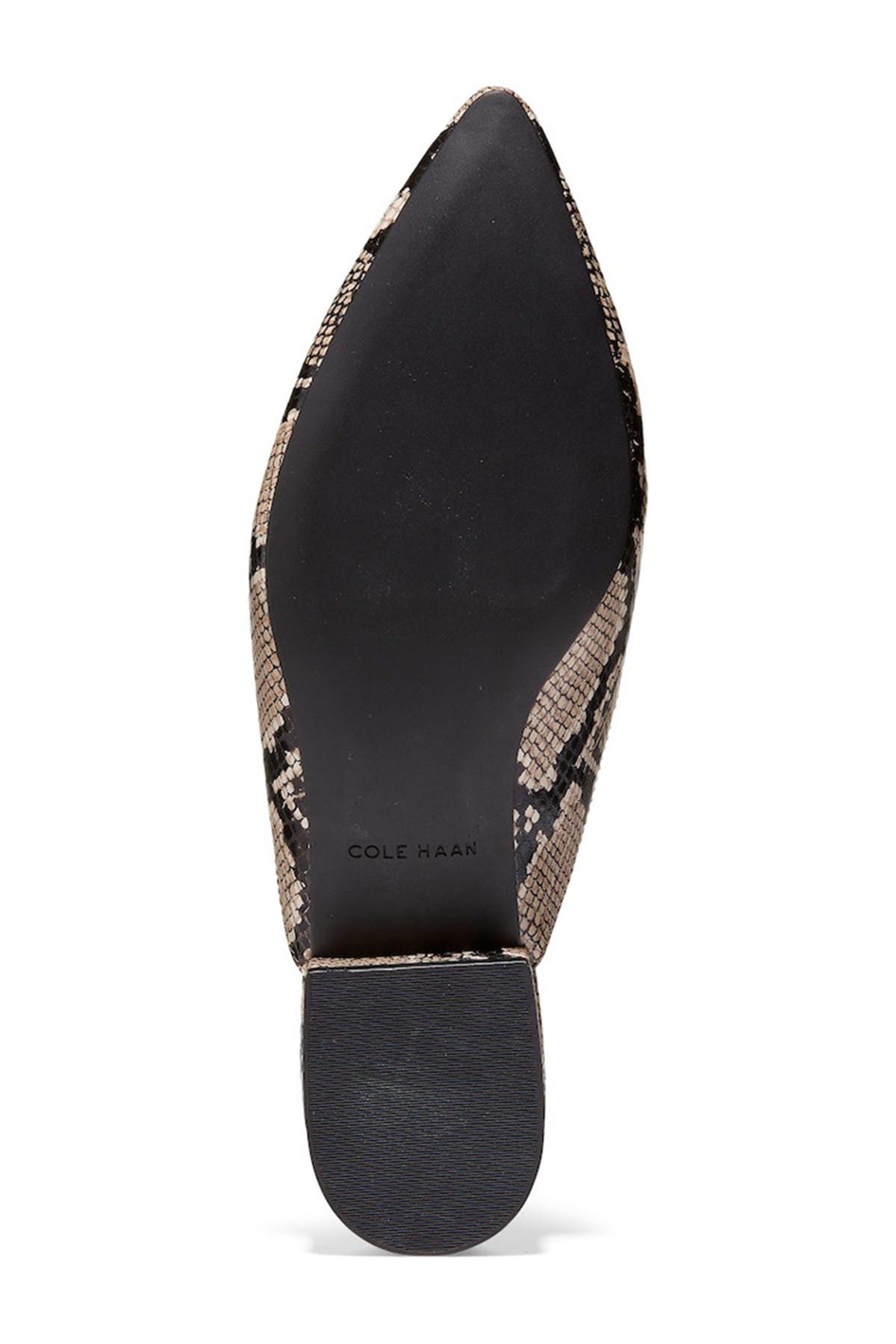 Cole Haan Piper Snake Print Mule | Nordstromrack