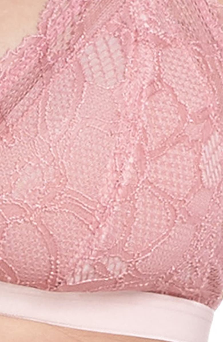 Sam Edelman Lace Triangle Bralette | Nordstrom