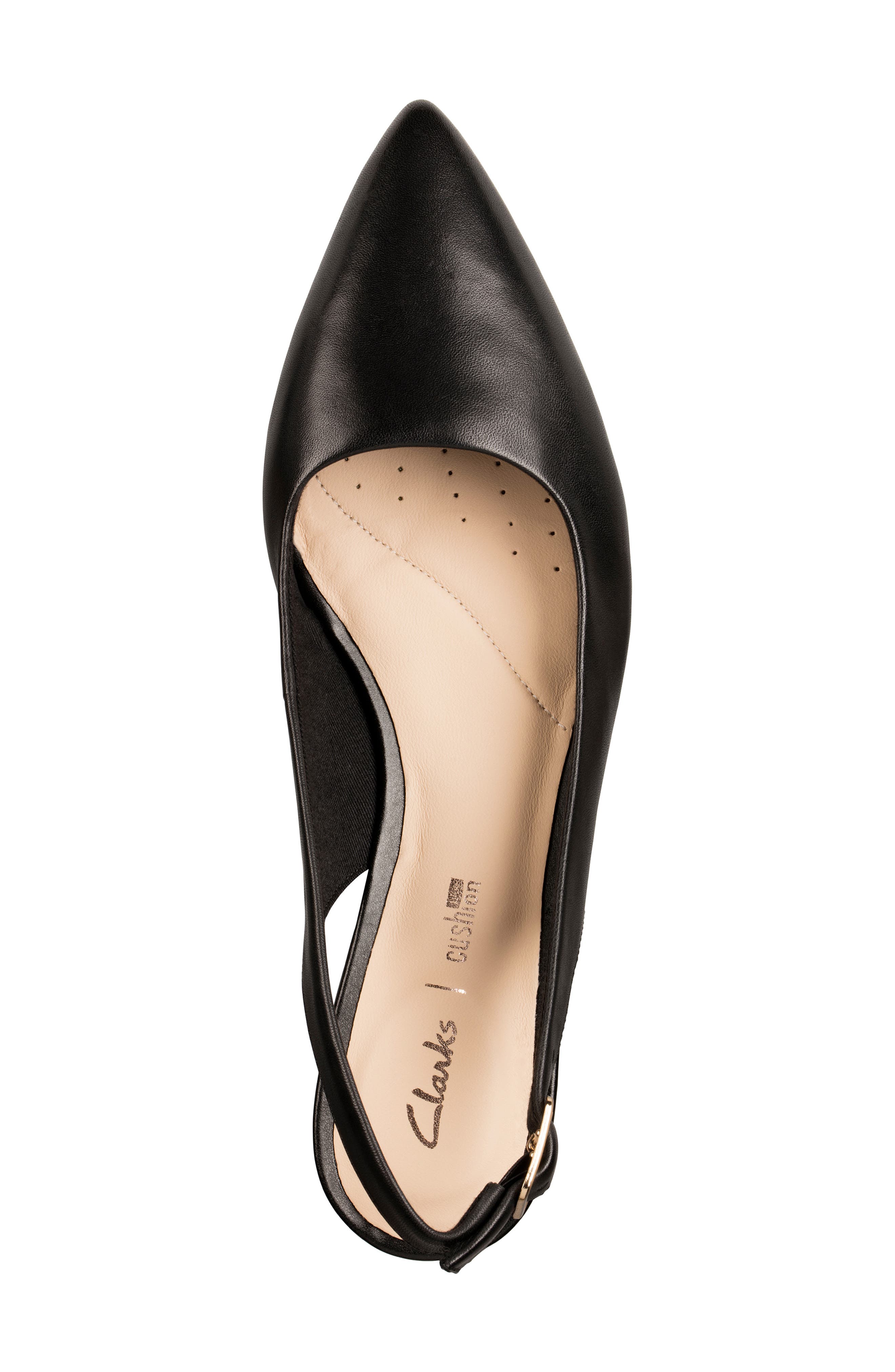 Clarks® Laina Slingback Pointy Toe Flat (Women) | Nordstrom