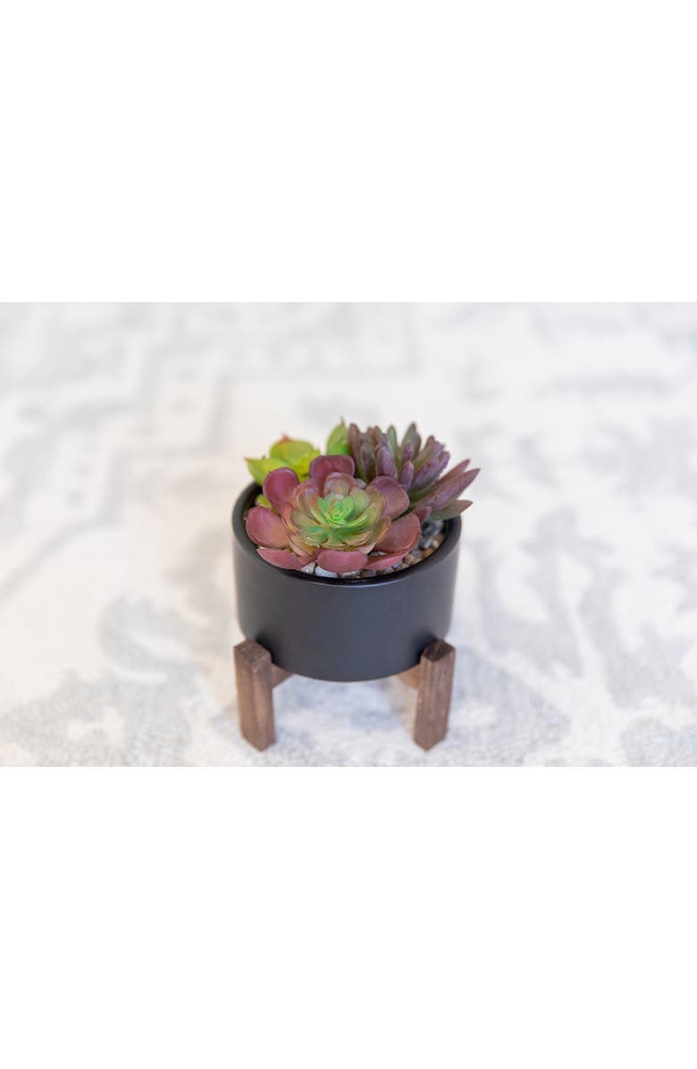 FLORA BUNDA Faux Succulent Mix in 4" Black Ceramic Pot on Stand ...