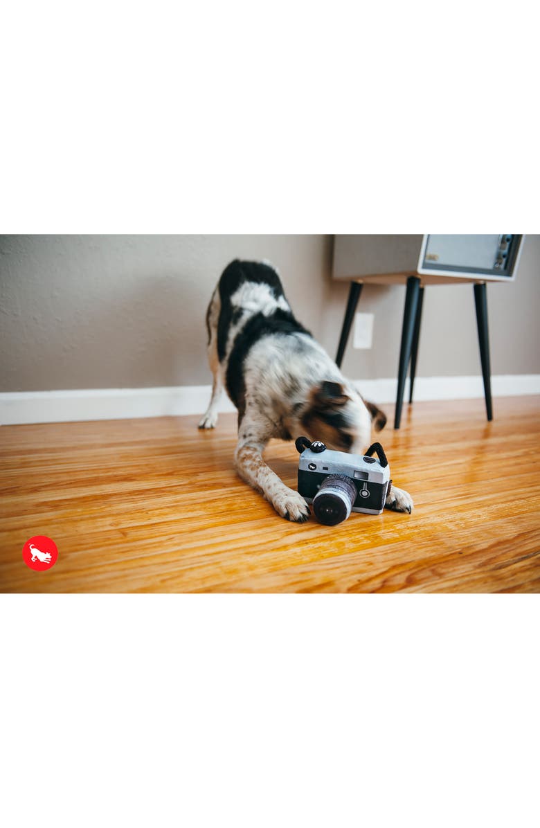 P.L.A.Y . Lens Licker Camera Squeaker Dog Toy | Nordstrom