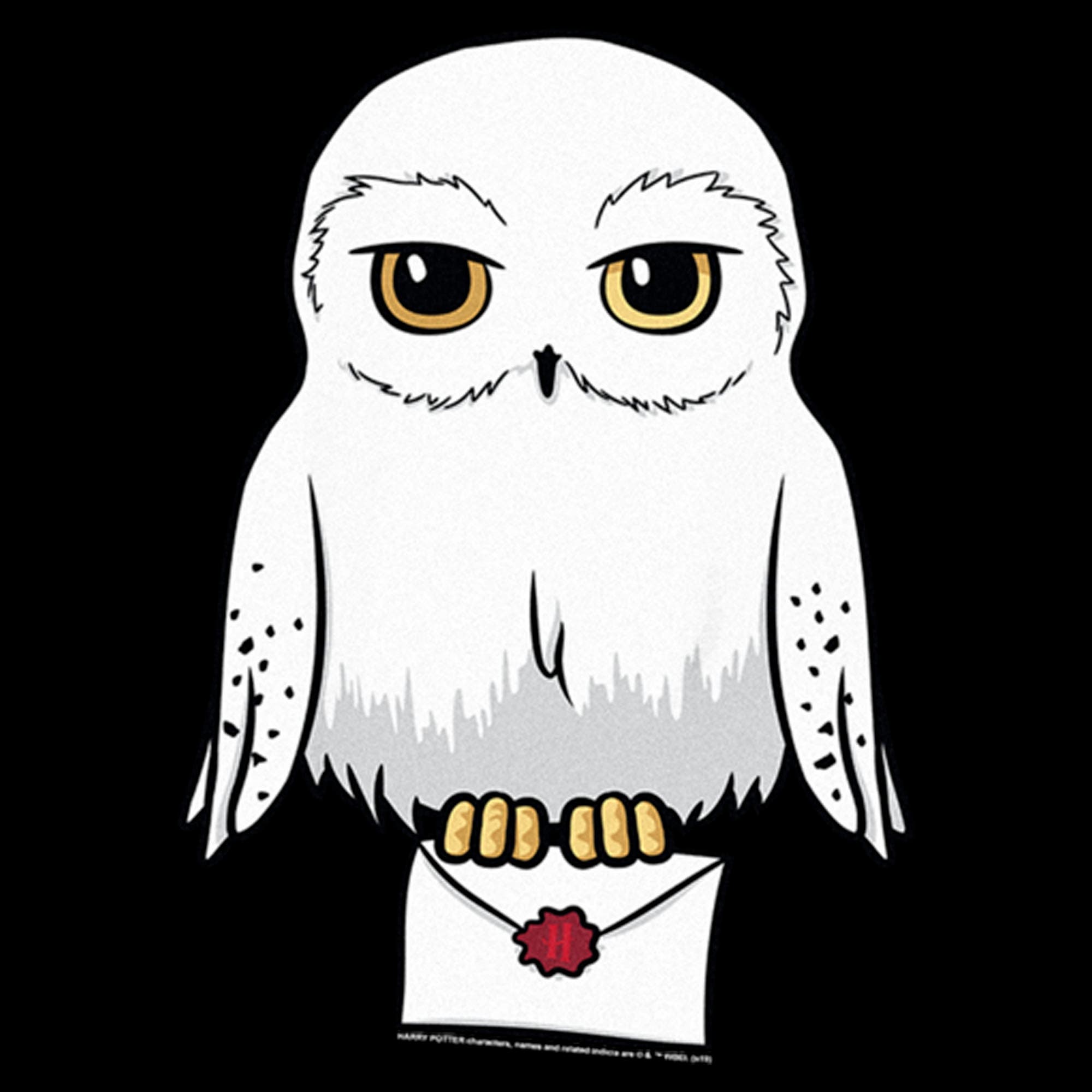 HARRY POTTER Girl's Harry Potter Cute Cartoon Hedwig Letter Graphic T ...