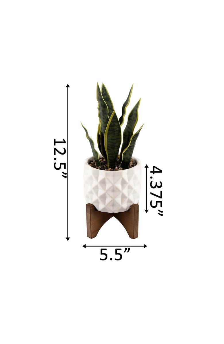 FLORA BUNDA 12.5" Snake Plant in Ceramic Pot on Stand | Nordstromrack