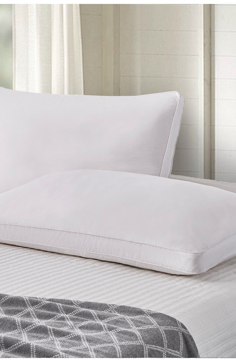 BLUE RIDGE HOME FASHIONS Scott Living Goose Feather & Down Fiber Side ...