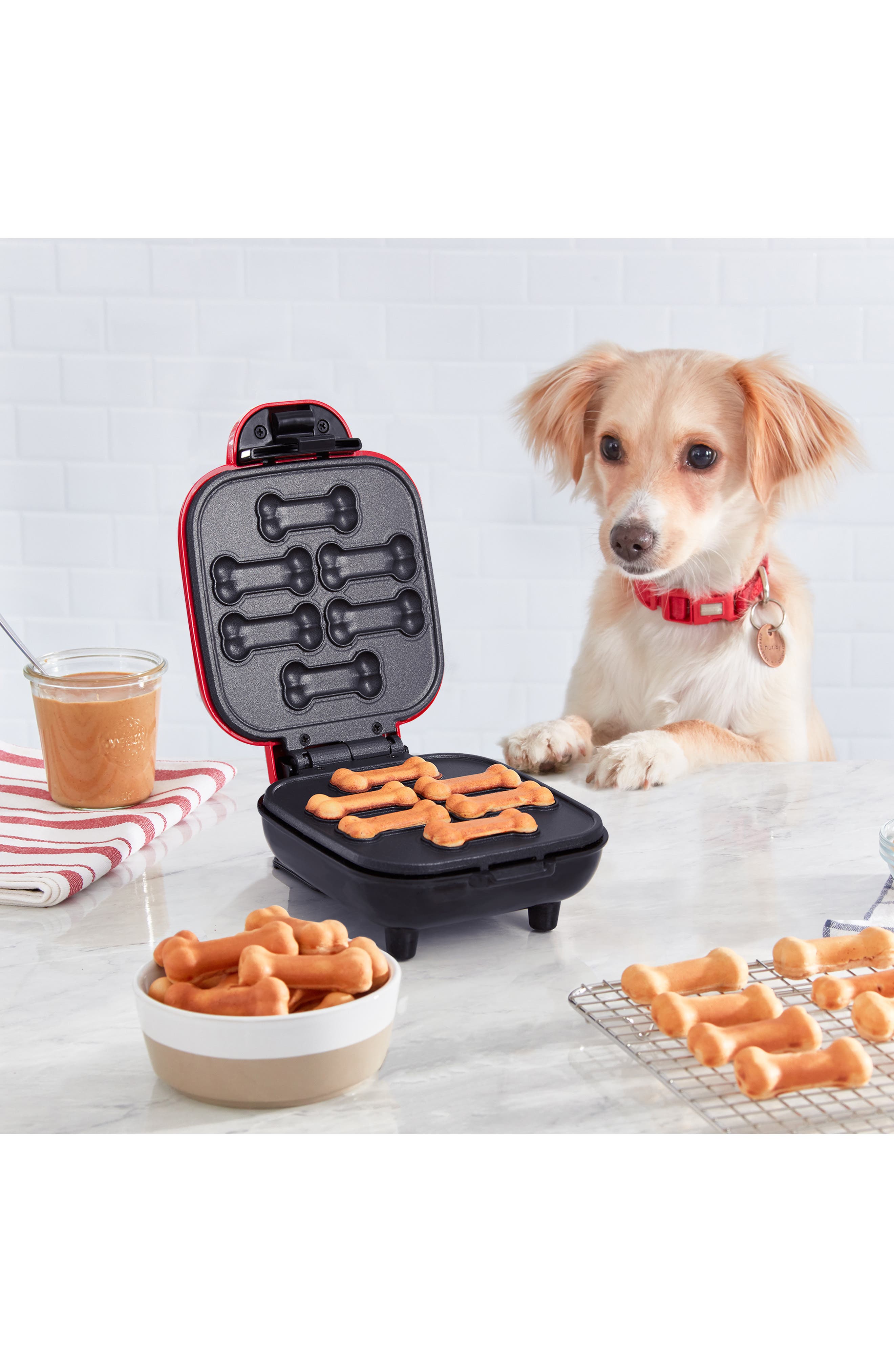 Dash Mini Dog Treat Maker | Nordstrom