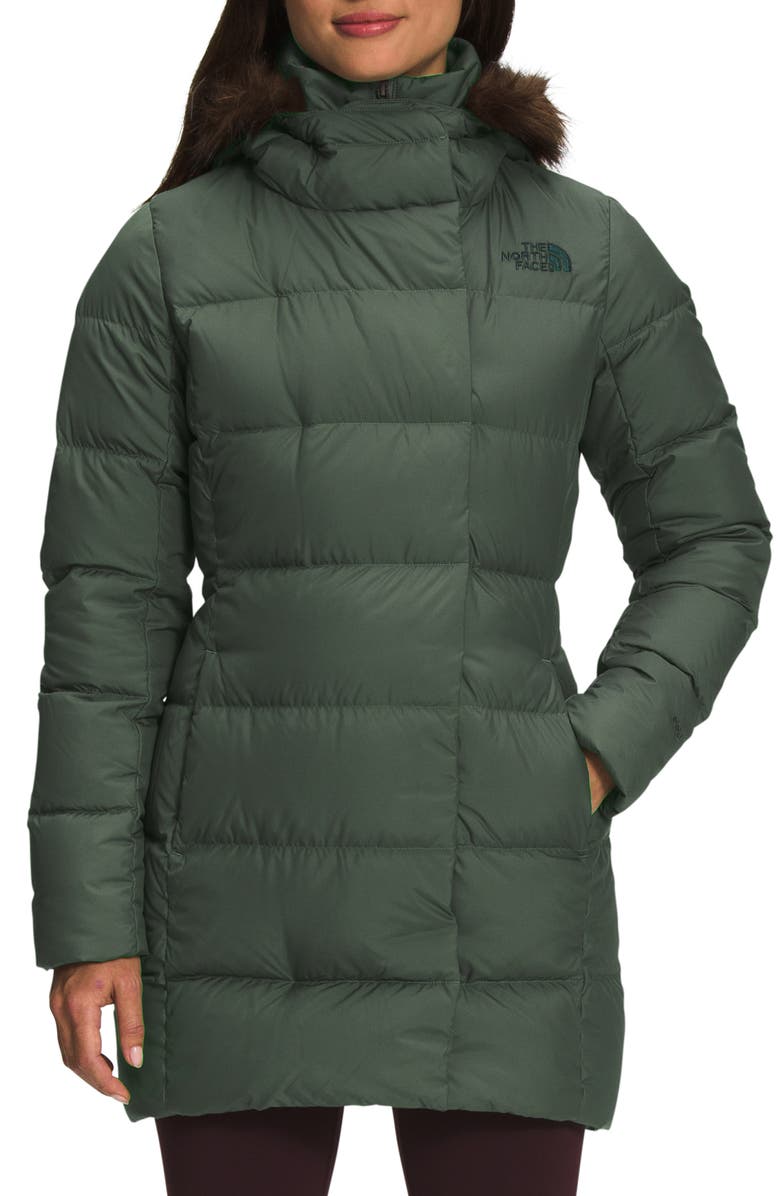 The North Face New Dealio Water Repellent 550 Fill Power Down Parka ...
