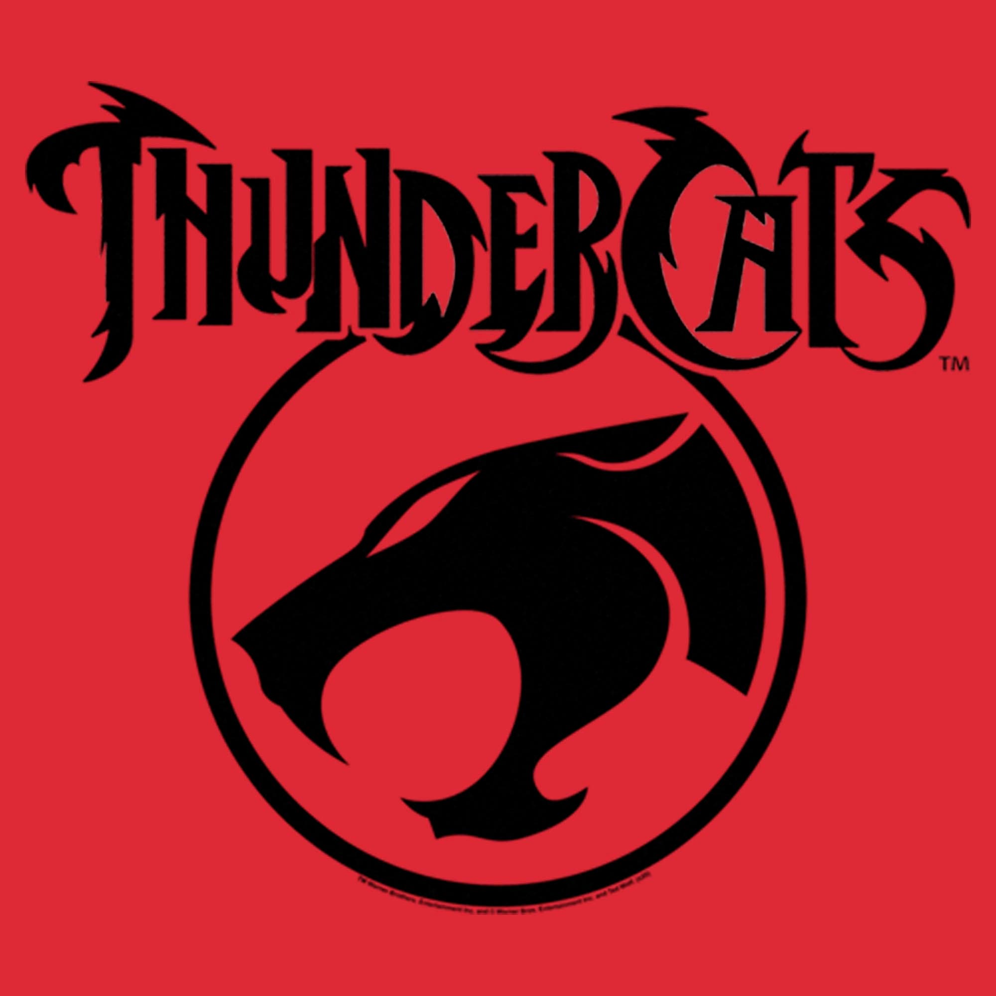 ThunderCats Men's ThunderCats Circle Logo Graphic T-Shirt | Nordstrom