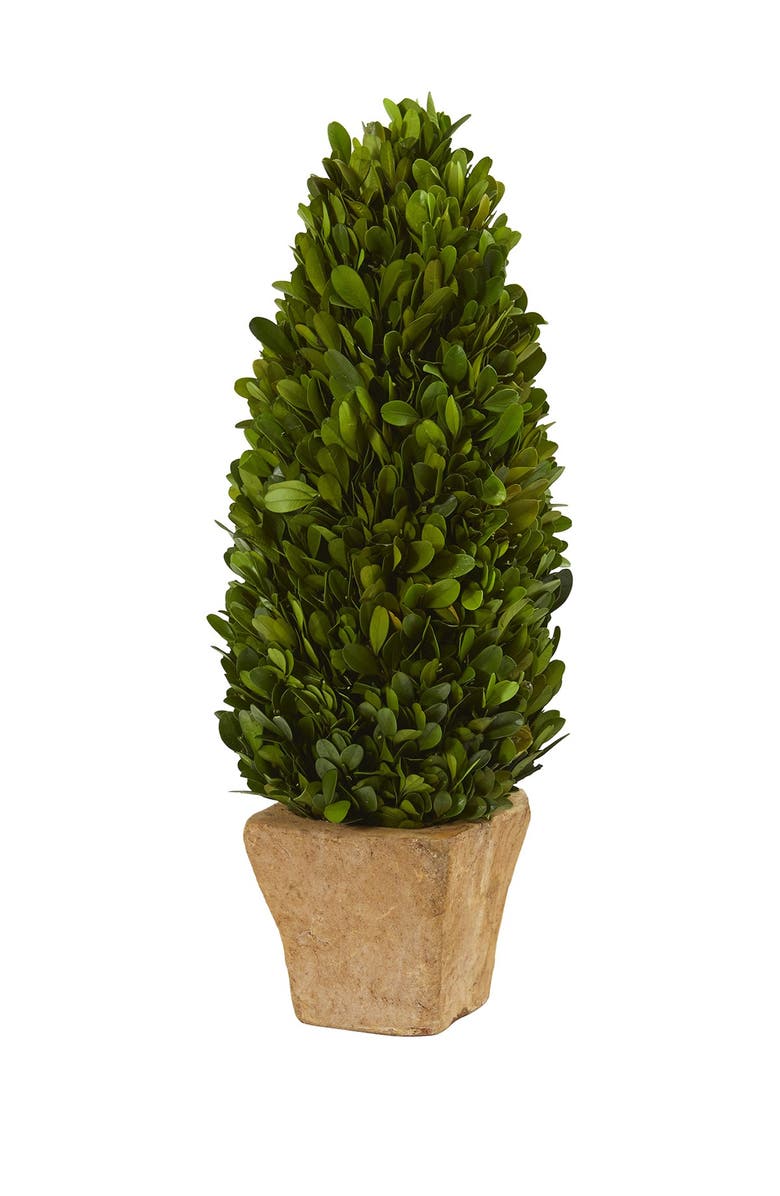 NEARLY NATURAL 16" Boxwood Cone Preserved Plant in Planter - Green ...
