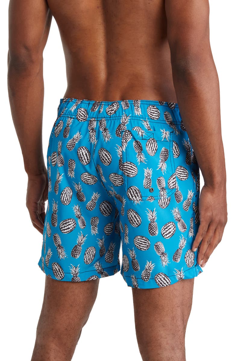 BEACH BROS Fruit X-Ray Swim Trunks | Nordstromrack