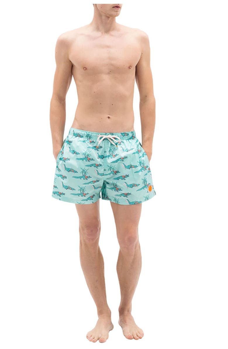 ambsn Lounge Lizard Board Shorts | Nordstromrack