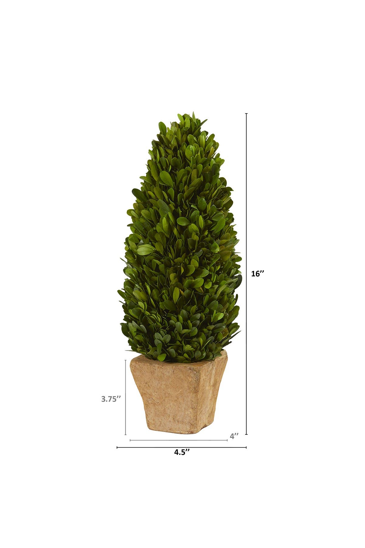 NEARLY NATURAL 16" Boxwood Cone Preserved Plant in Planter - Green ...