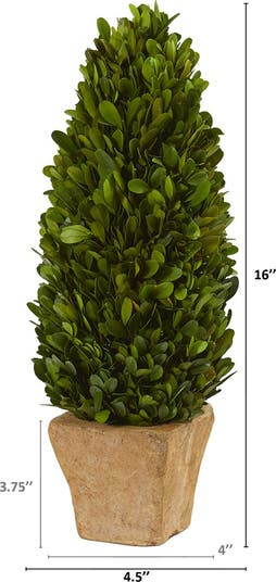 NEARLY NATURAL 16" Boxwood Cone Preserved Plant in Planter - Green ...