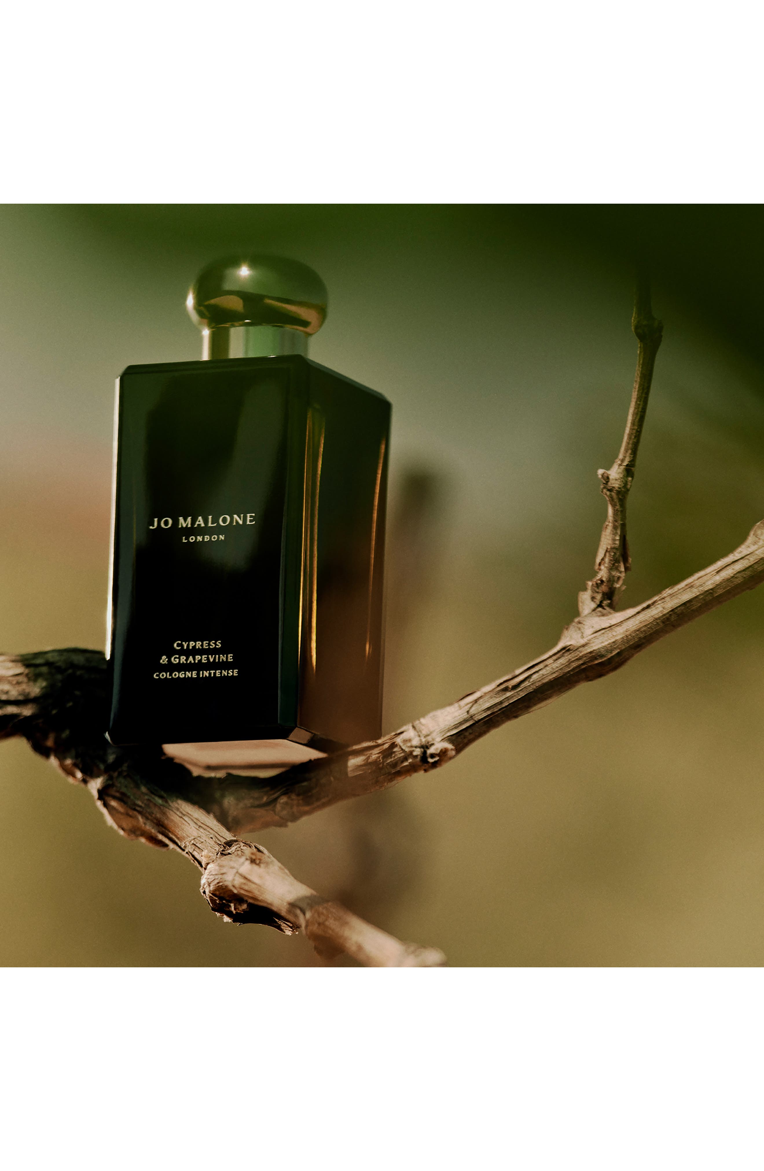 Jo Malone London™ 5-Piece Cologne Intense Collection Discovery Set $160 ...