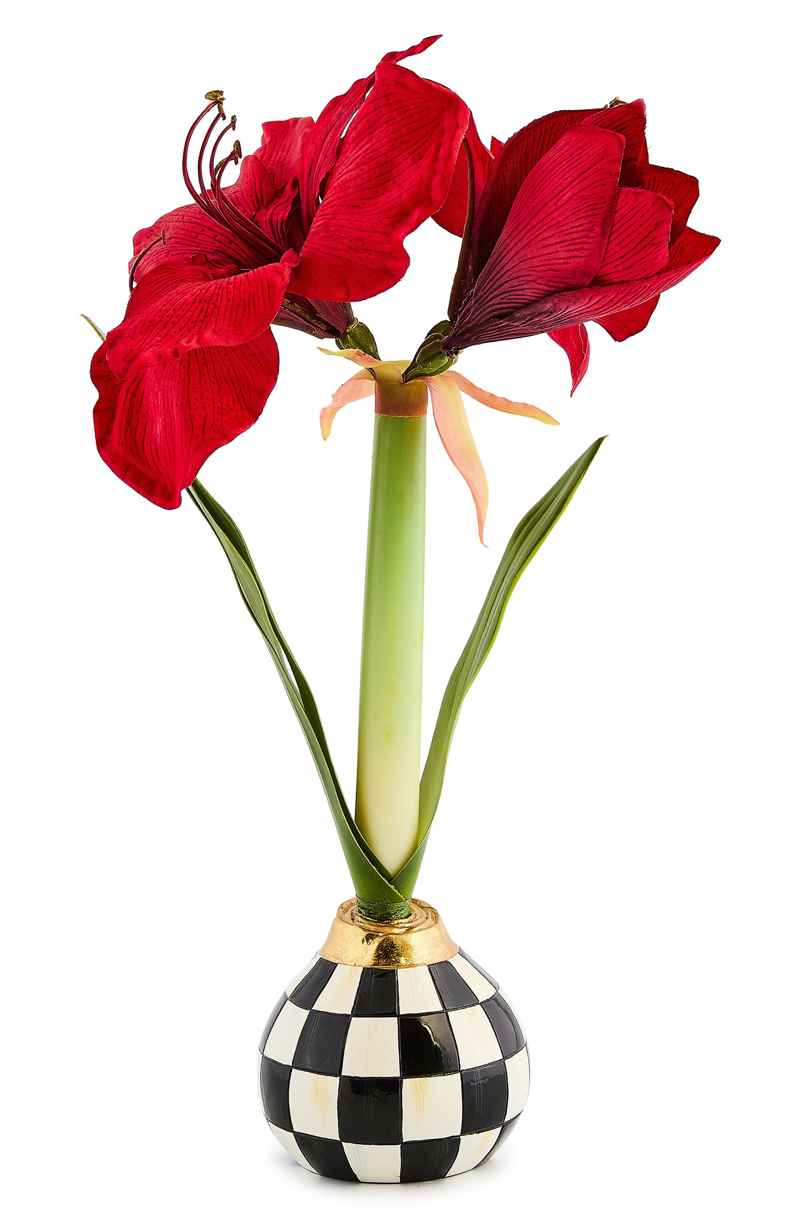MACKENZIE CHILDS Courtly Check Imitation Amaryllis Bulb Arrangement ...