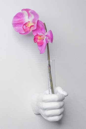 INTERIOR ILLUSIONS White Wall Vase Hook | Nordstromrack