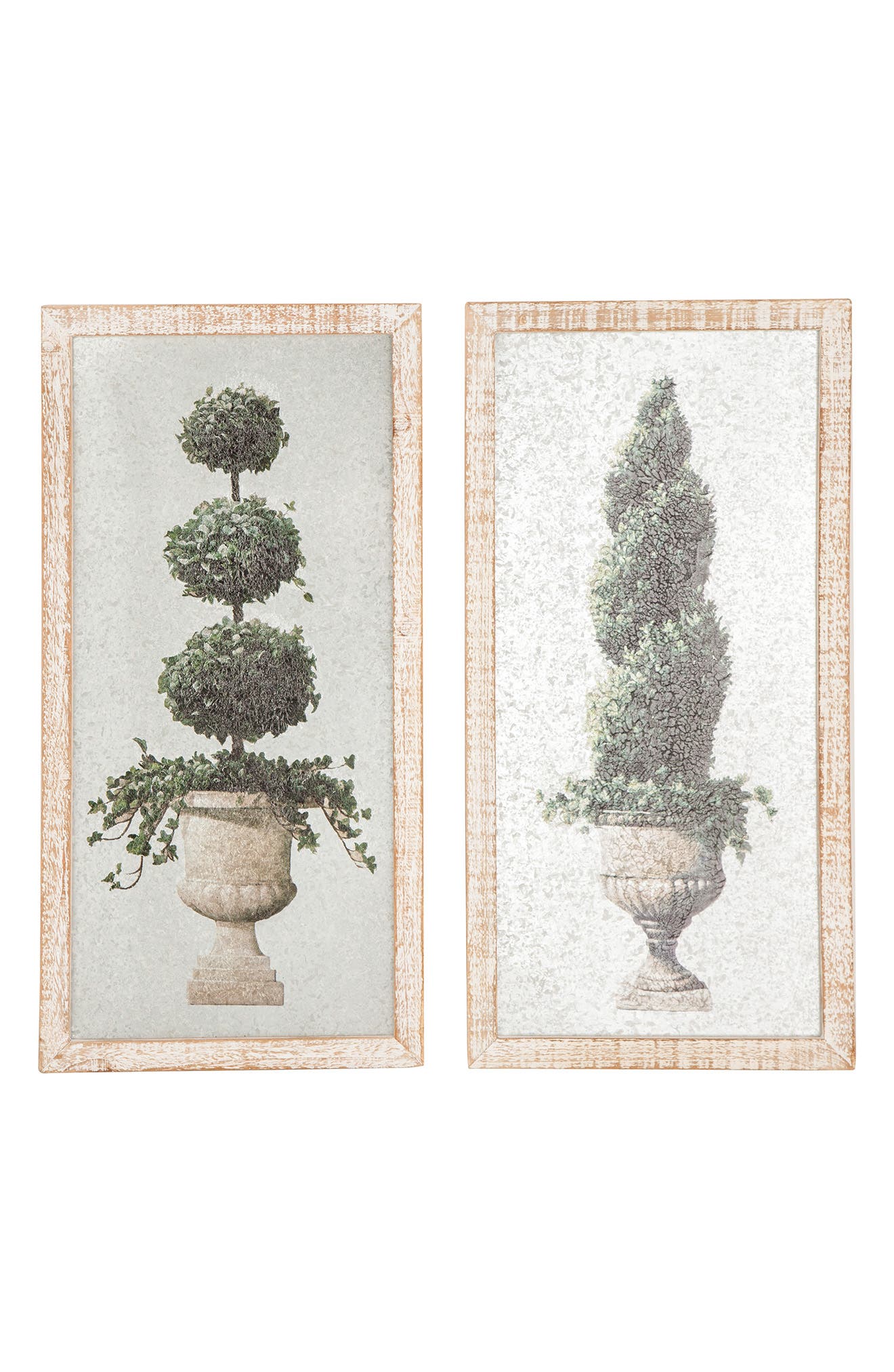 WILLOW ROW Extra Large Green Botanical Print with Whitewashed Wood ...