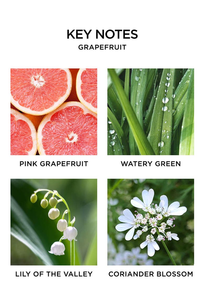 Grapefruit Scented Petite Candle & Diffuser Gift Set (Limited Edition ...