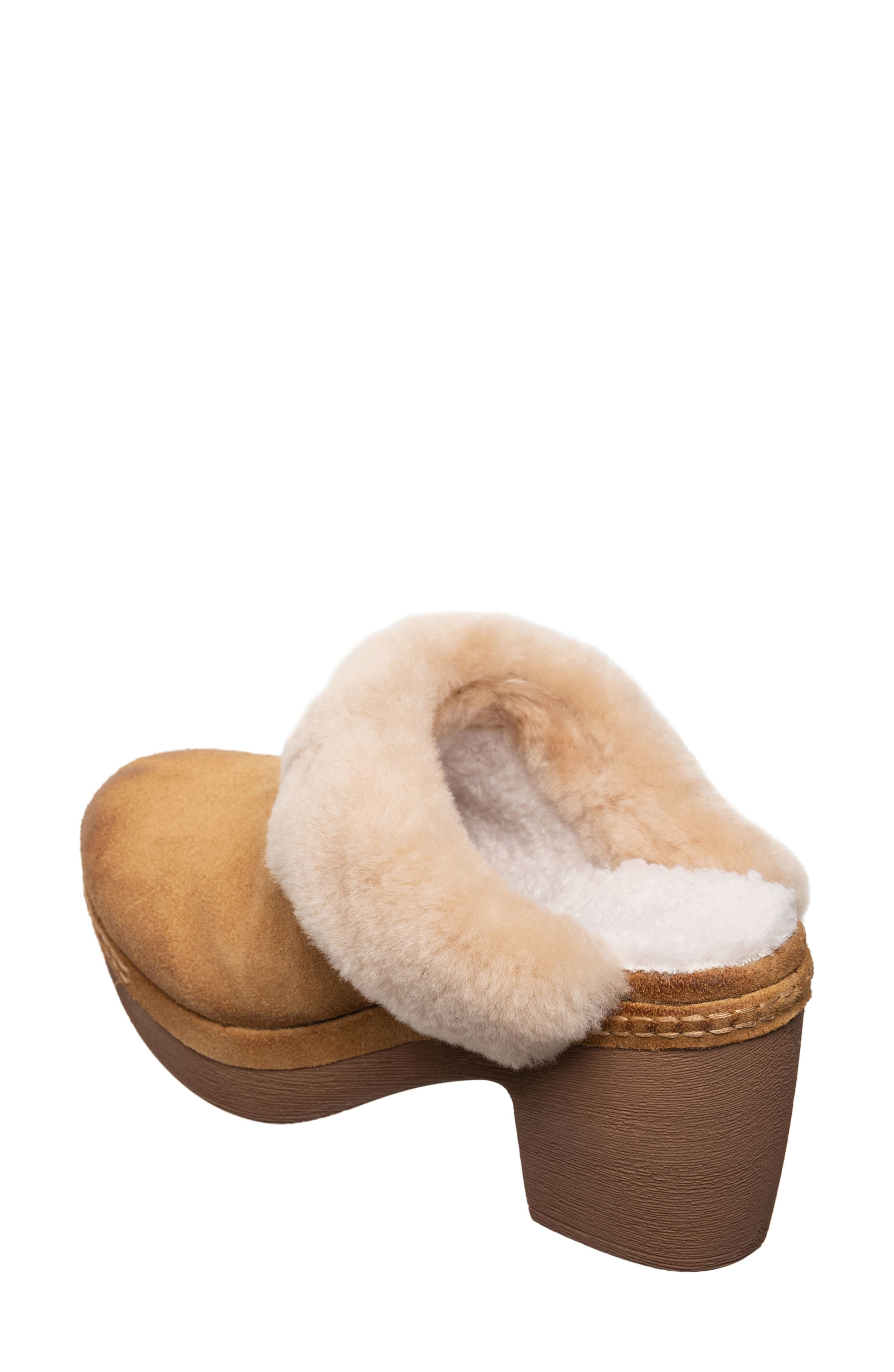 ANTELOPE Sera Faux Fur Lined Clog (Women) | Nordstromrack