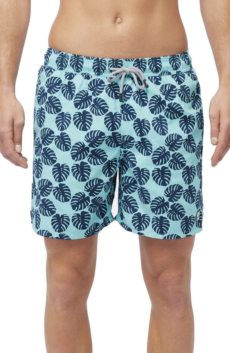 Tom & Teddy Leaves Swim Trunks | Nordstrom