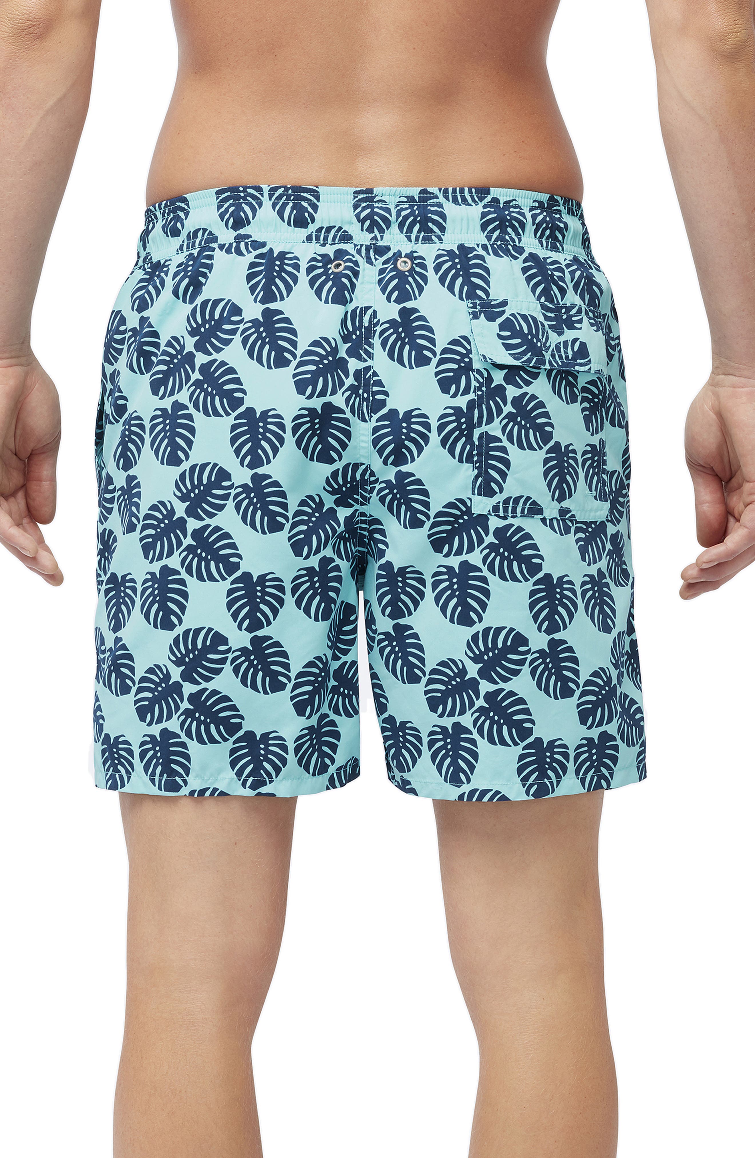 Tom & Teddy Leaves Swim Trunks | Nordstrom