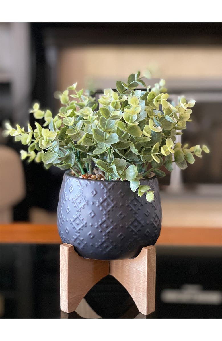FLORA BUNDA Eucalyptus in 5" Matte Black Ceramic Pot on Wood Stand ...