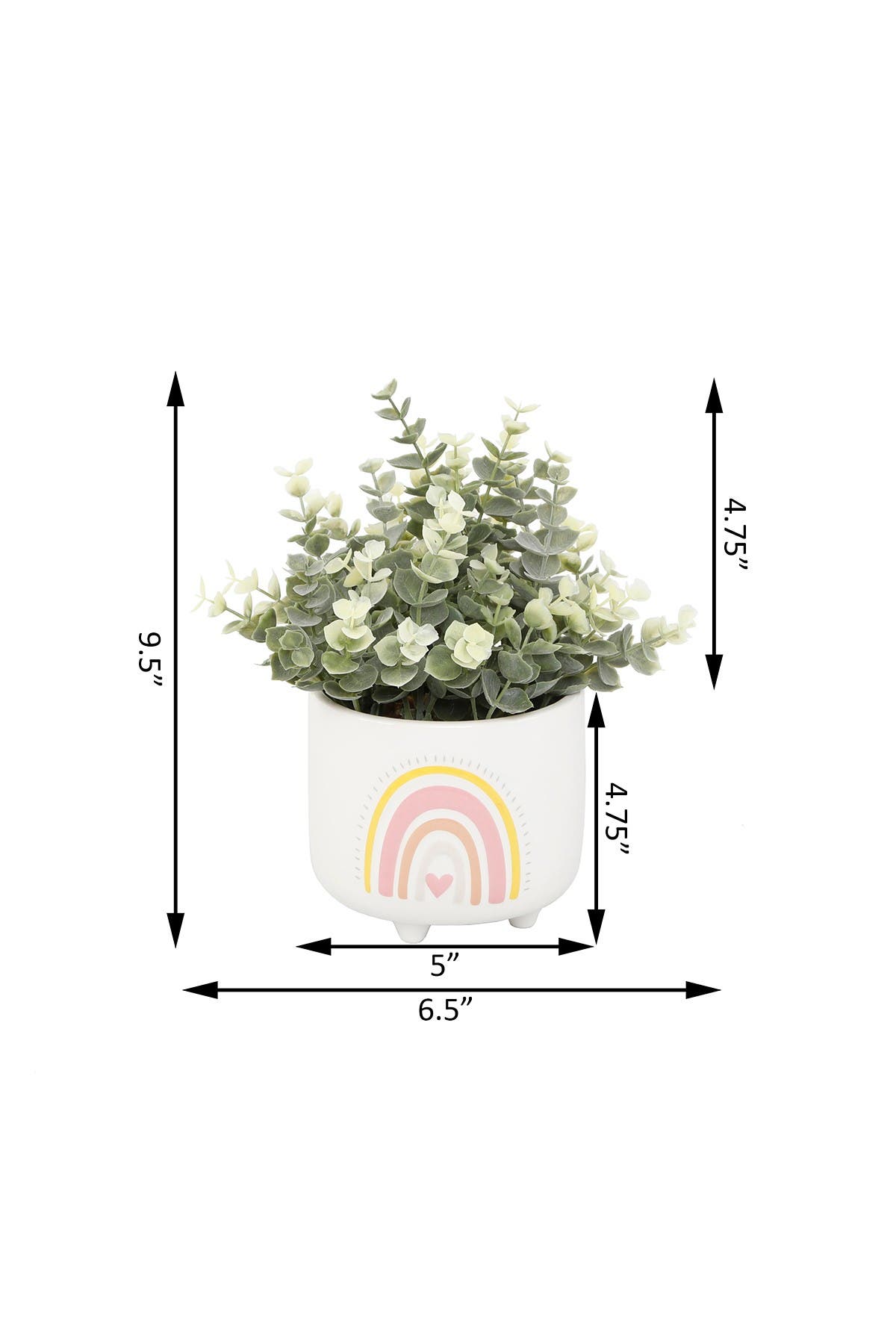 FLORA BUNDA Eucalyptus in 4.75" Double Rainbow Footed Pot | Nordstromrack