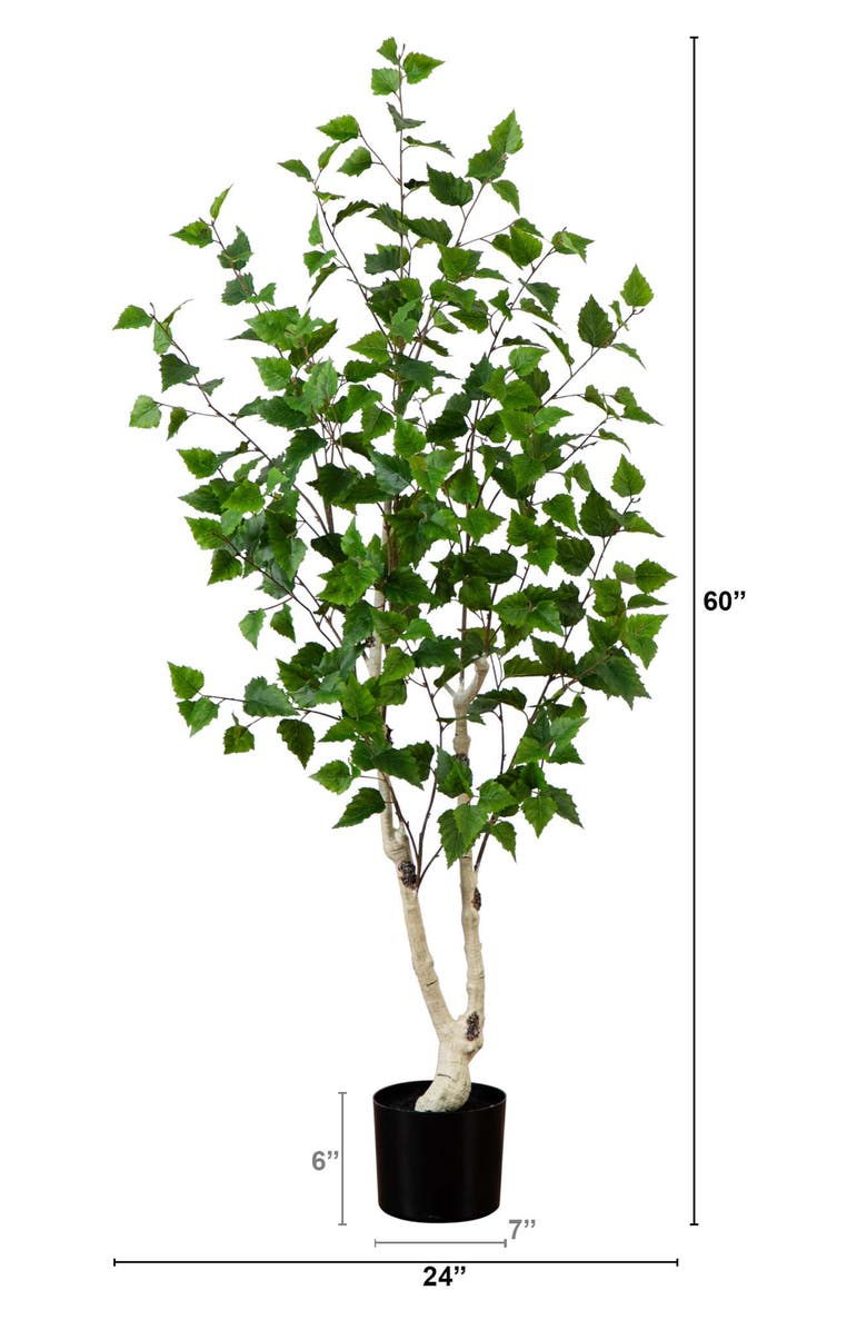NEARLY NATURAL Artificial Birch Tree | Nordstromrack