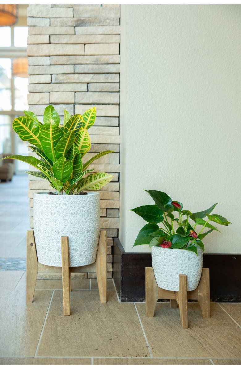 FLORA BUNDA 10" & 6.6" Cathedral Ceramic Planter on Stand - Set of 2 ...