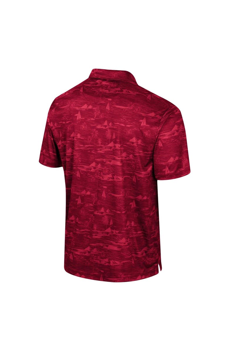 COLOSSEUM Men's Colosseum Cardinal Arkansas Razorbacks Daly Print Polo ...