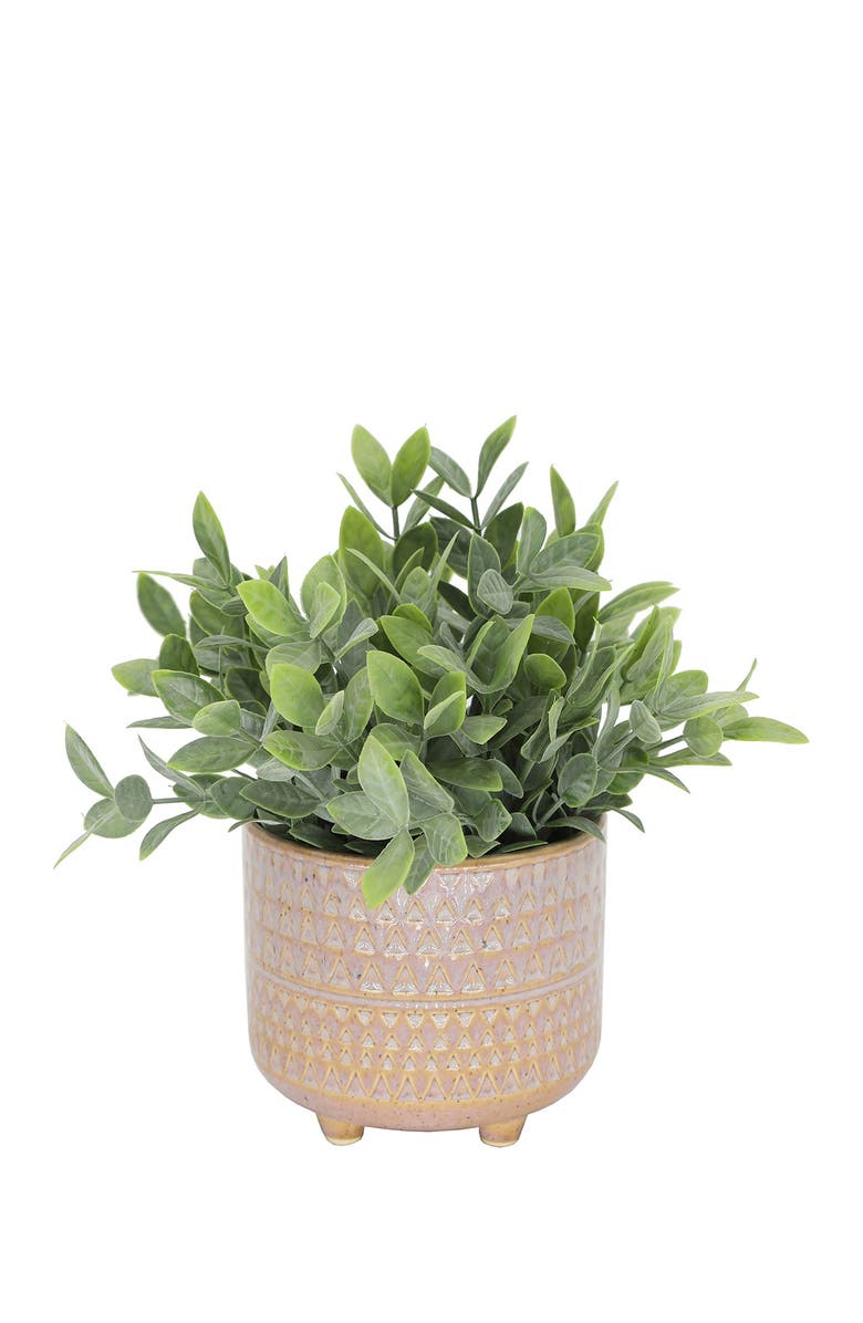 FLORA BUNDA Tea Leaf in 5" Mauve Pharaoh Footed Pot | Nordstromrack