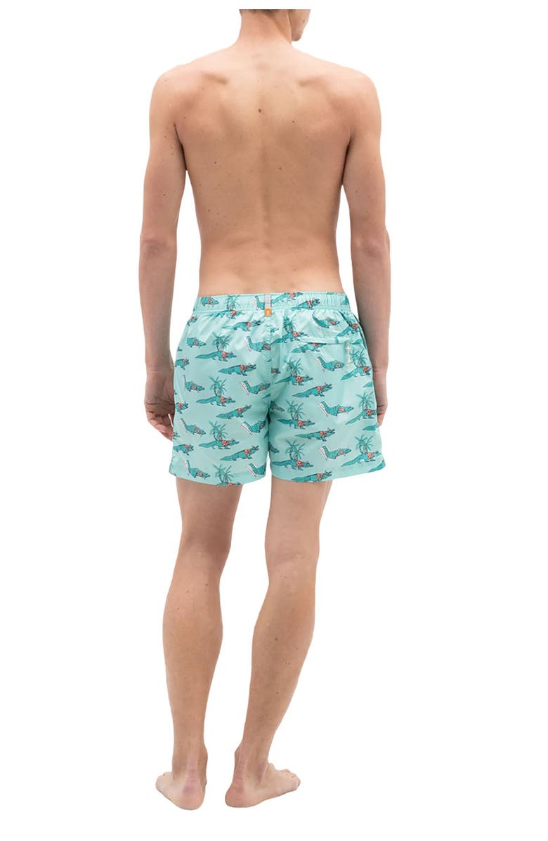 ambsn Lounge Lizard Board Shorts | Nordstromrack