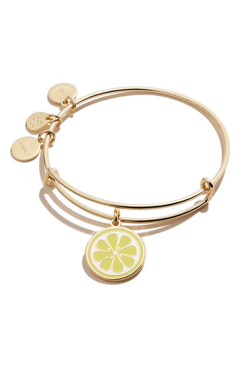 Alex and Ani Color Infusion Goldtone Zest For Life Slider Bracelet ...
